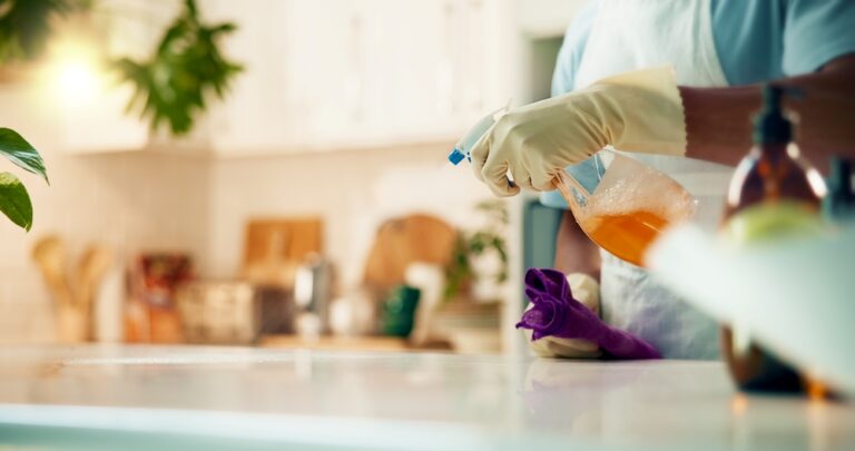 Daily Cleaning Checklist for a Tidy Home | Vella